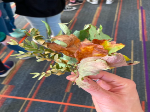 Leaf Dancing - Music ConstructED Elementary Music Lesson Plan