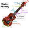 Ukulele: Parts and Pieces - Music ConstructED