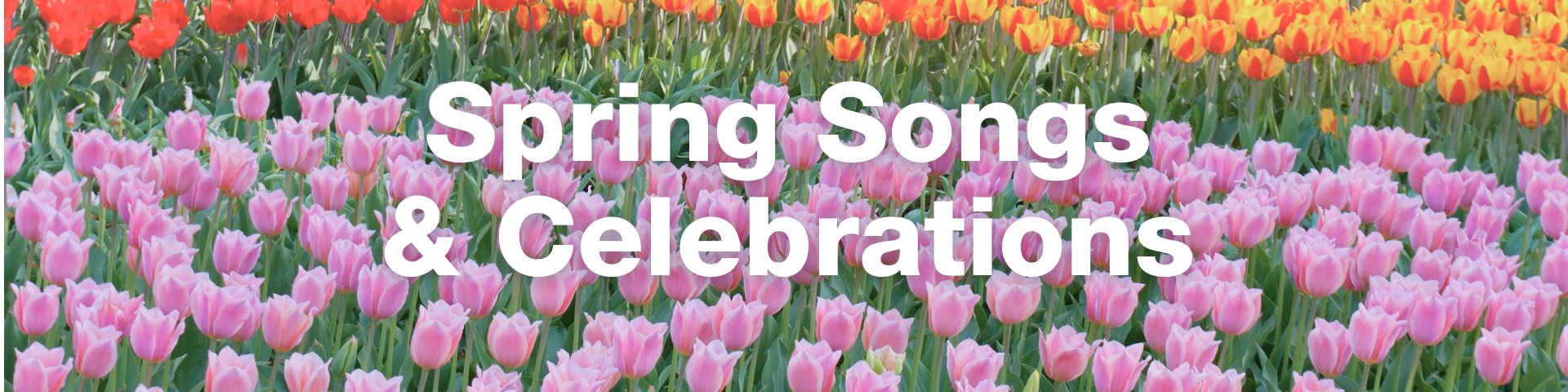 Spring Songs & Celebrations - Music ConstructED
